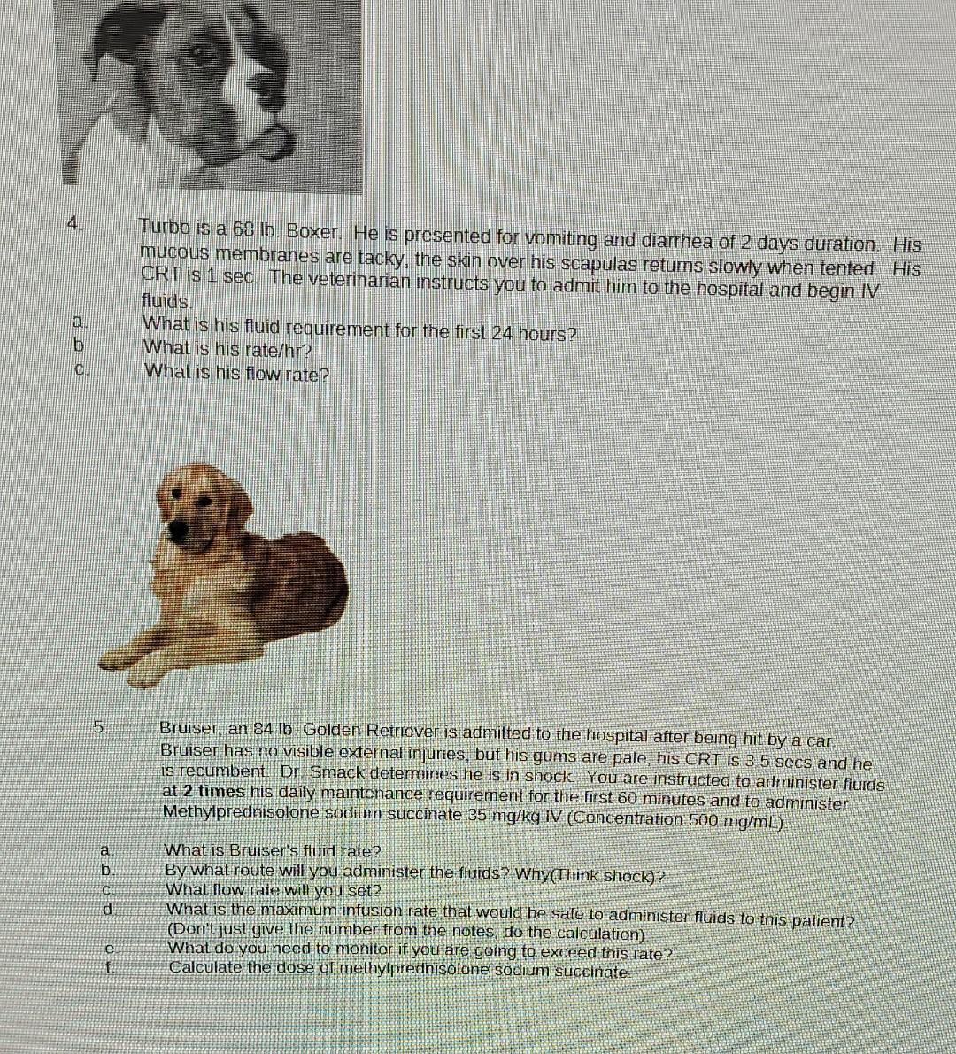 Solved this is for applied mathematics for veterinary | Chegg.com