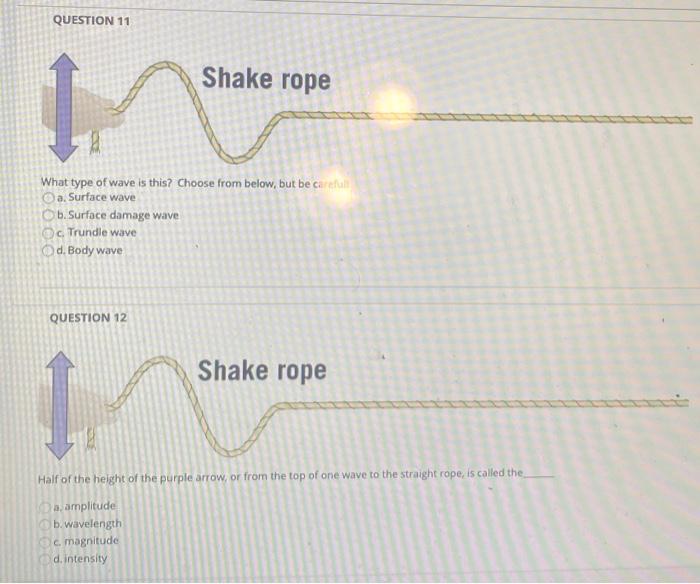 Solved QUESTION 11 Shake rope I What type of wave is this? | Chegg.com