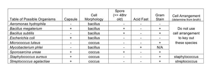 Solved please make a dichotomous key with the data provided. | Chegg.com
