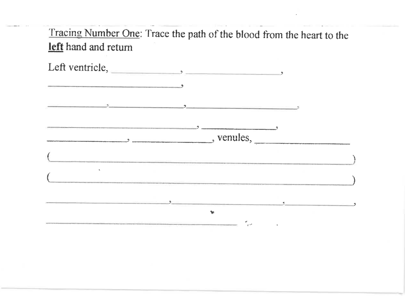 Solved Tracing Number One: Trace the path of the blood from | Chegg.com