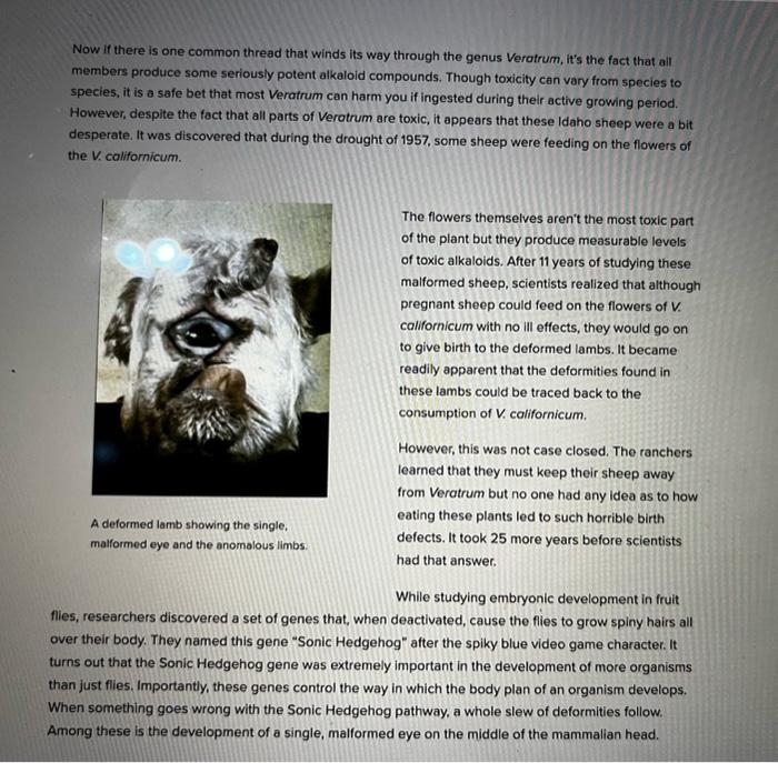 Solved Here is a reading on cyclops sheep. After you have | Chegg.com