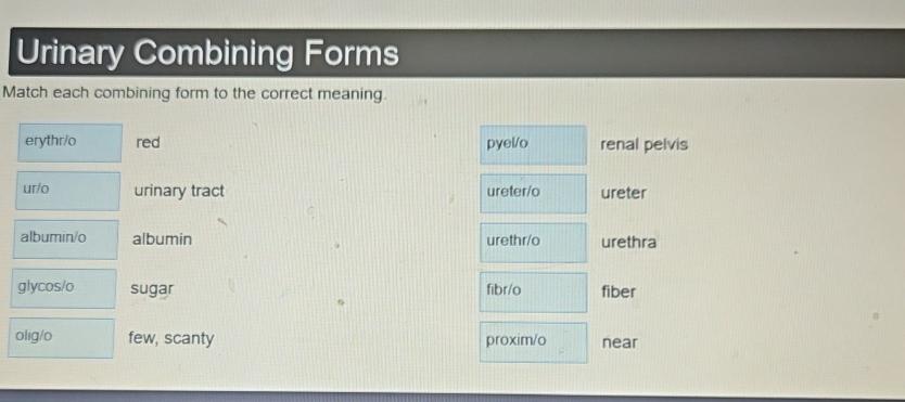 Solved Urinary Combining FormsMatch each combining form to | Chegg.com