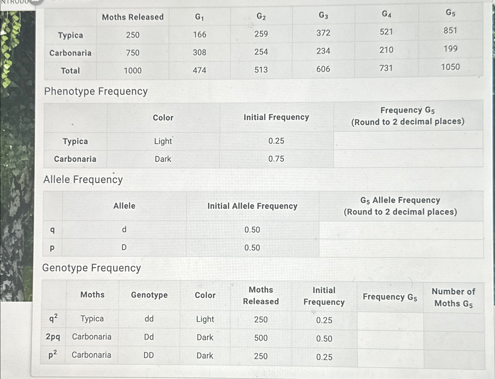 Solved \table[[,Moths Released,G1,G2,G3,G4,G5 | Chegg.com