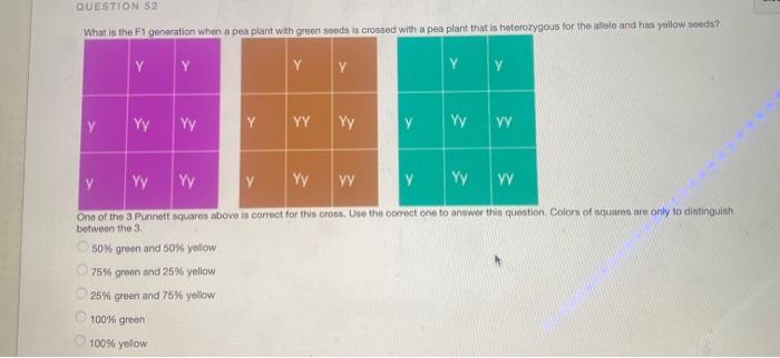 Solved QUESTION 2 What is the F1 generation when a pea plant | Chegg.com