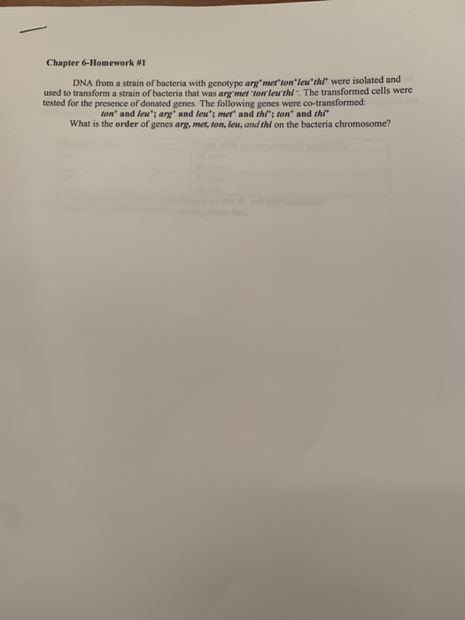 Solved Chapter 6-Homework 1 DNA from a strain of bacteria | Chegg.com Solved Chapter 6-Homework 1 DNA from a strain of bacteria | Chegg.com