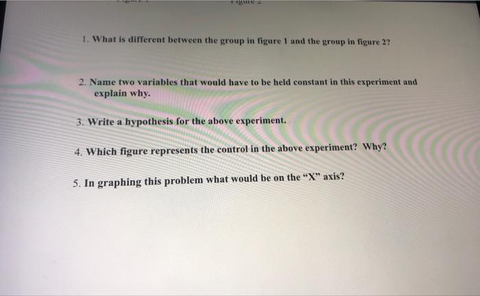 Solved Use the figures to answer the questions.Figure 1 | Chegg.com