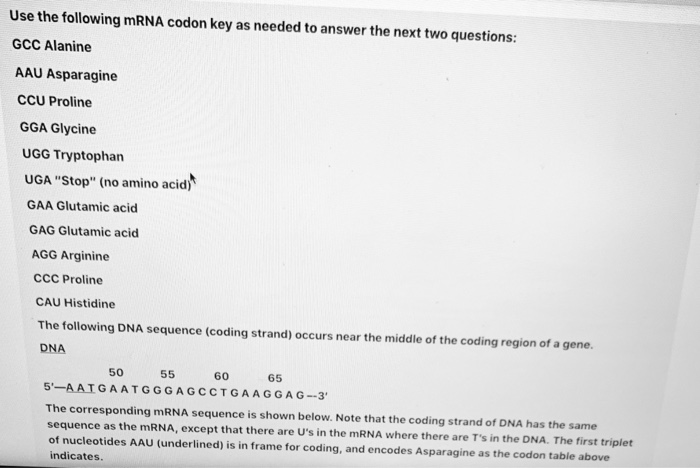 Solved Use the following mRNA codon key as needed to answer | Chegg.com