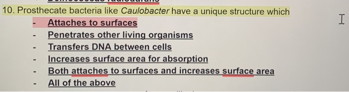 Solved 10. Prosthecate bacteria like Caulobacter have a | Chegg.com