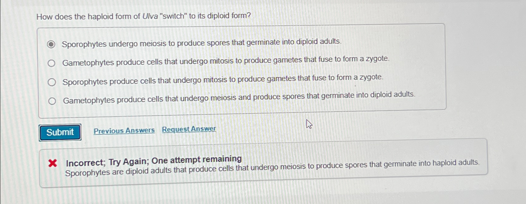 Solved How does the haploid form of Ulva "switch" to its | Chegg.com
