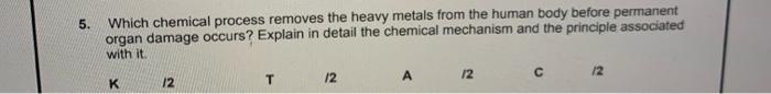Solved please give a long answer and explain it in detail | Chegg.com