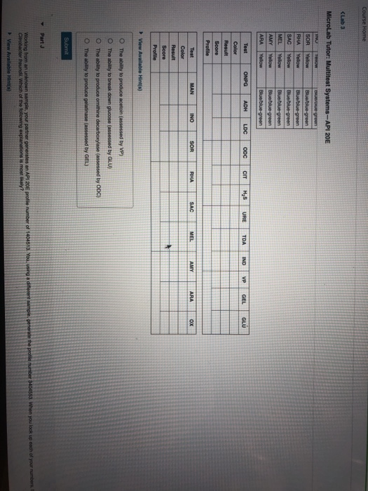 Solved MicroLab Tutor: Multitest Systems-API 20E Parti JUPE | Chegg.com