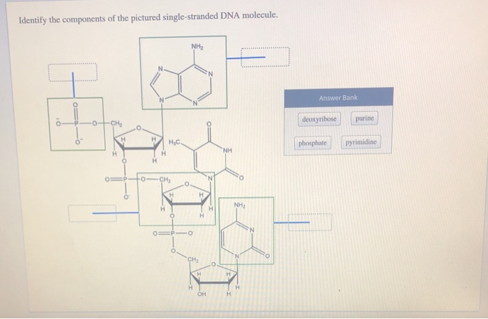 Solved Identify the components of the pictured | Chegg.com Solved Identify the components of the pictured | Chegg.com