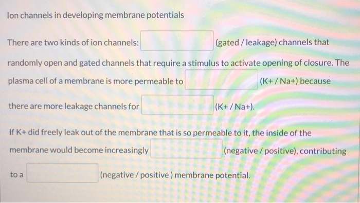 Solved lon channels in developing membrane potentials There | Chegg.com