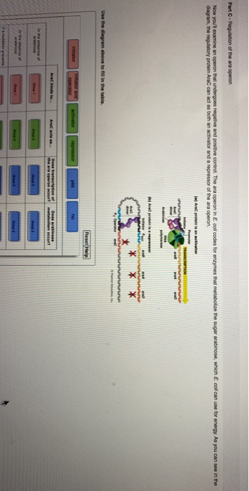 Solved P. Operator Use the diagram above to fill in the | Chegg.com