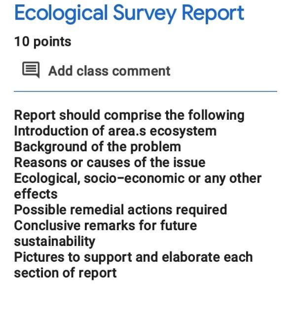 Solved Report should comprise the following Introduction of | Chegg.com