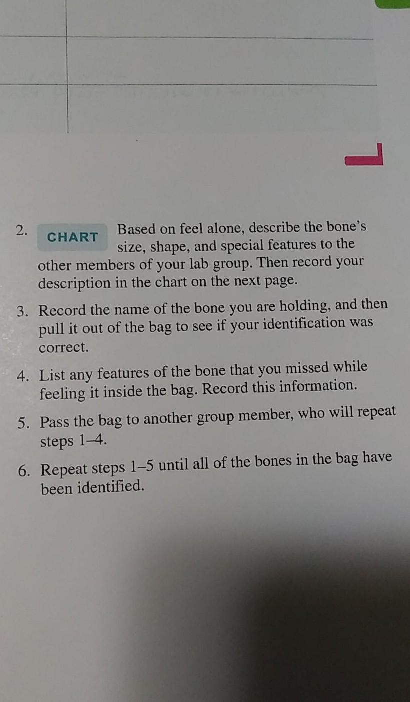 Bones-in-a-Bag Identification Description of Bone | Chegg.com