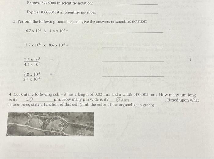 Solved Express 6745000 in scientific notation: Express | Chegg.com