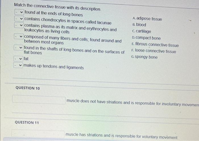 Solved Match the connective tissue with its description. | Chegg.com