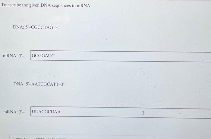 Transcribe the given DNA sequences to mRNA. DNA: | Chegg.com