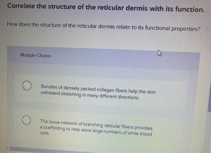 Solved Correlate the structure of the reticular dermis with | Chegg.com