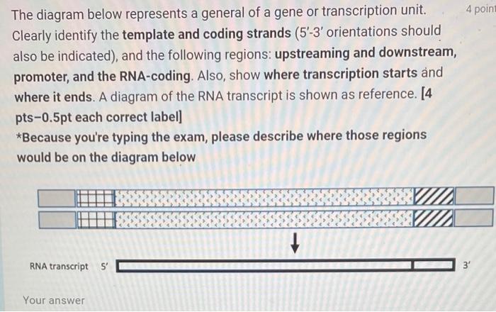 Solved The diagram below represents a general of a gene or | Chegg.com