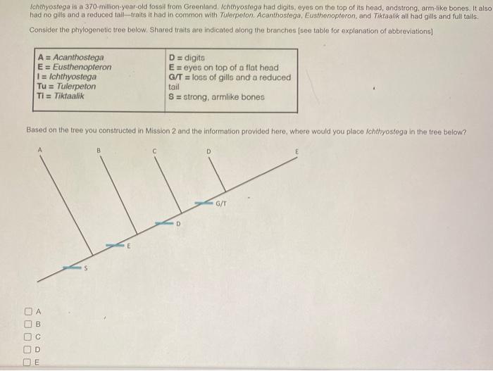 Solved Ichthyostega is a 370 million year old fossil from | Chegg.com