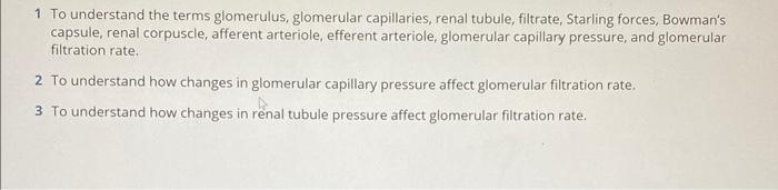 Solved 1 To understand the terms glomerulus, glomerular | Chegg.com