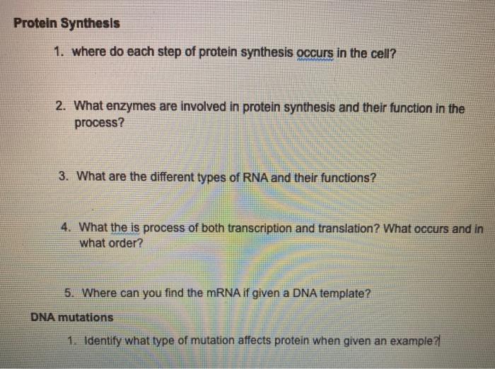 Solved Protein Synthesis 1. where do each step of protein | Chegg.com