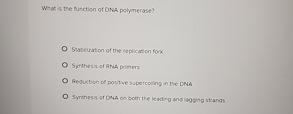 Solved What is the function of DNA polymerase?Stabilization | Chegg.com