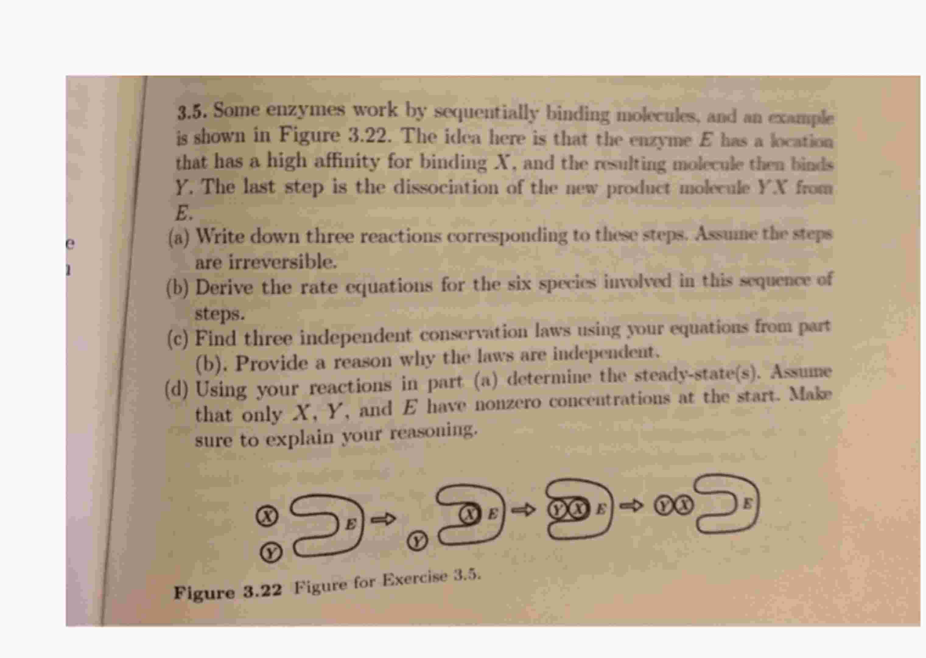 Solved 3.5. ﻿Some enzymes work by sequentially binding | Chegg.com