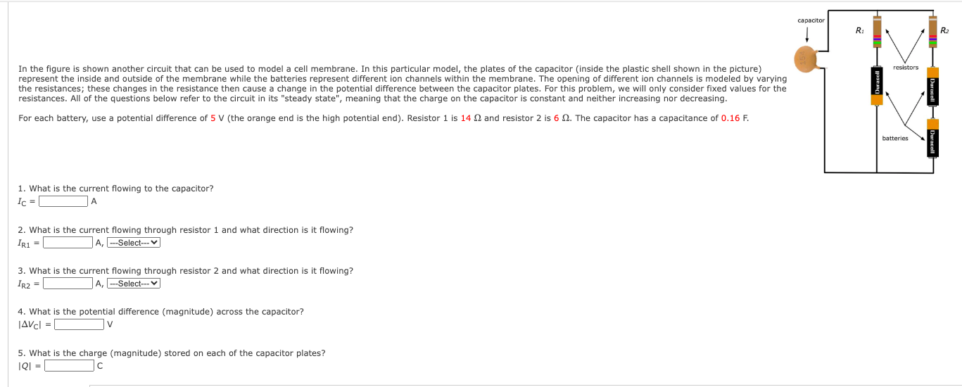 Solved I need help understanding how to do these! | Chegg.com