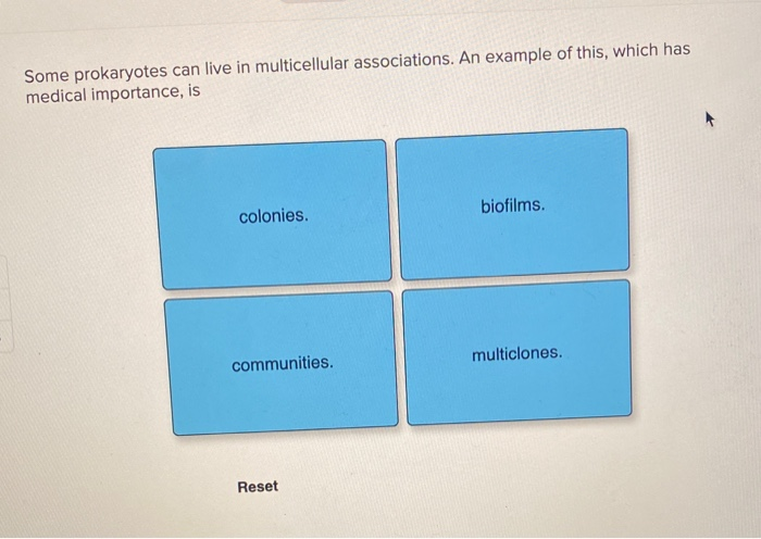 Solved Some prokaryotes can live in multicellular | Chegg.com