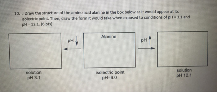 Solved 10. . Draw the structure of the amino acid alanine in | Chegg.com