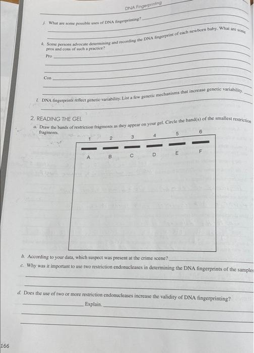 Solved Laboratory Report DNA FINGERPRINTING Student Lab | Chegg.com