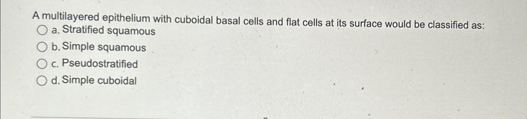 Solved A multilayered epithelium with cuboidal basal cells | Chegg.com