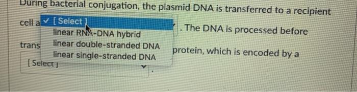 Solved During bacterial conjugation, the plasmid DNA is | Chegg.com