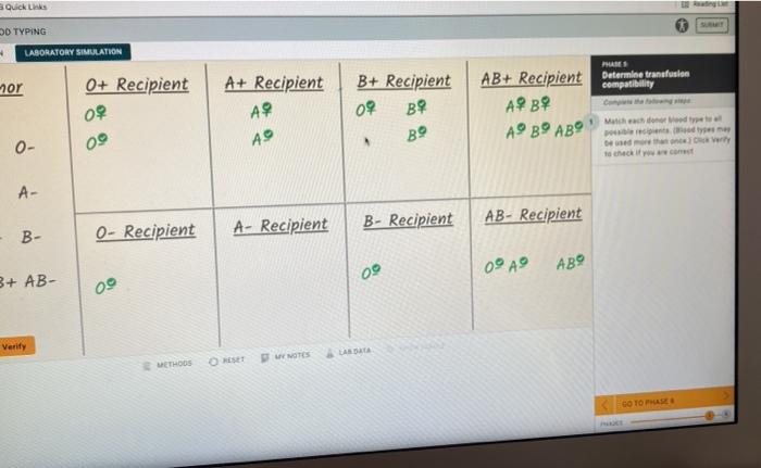 Solved Quick Les OD TYPING * LABORATORY SIMULATION or 0+ | Chegg.com