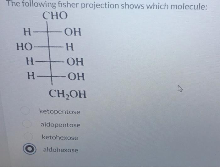 Solved The following fisher projection shows which molecule: | Chegg.com