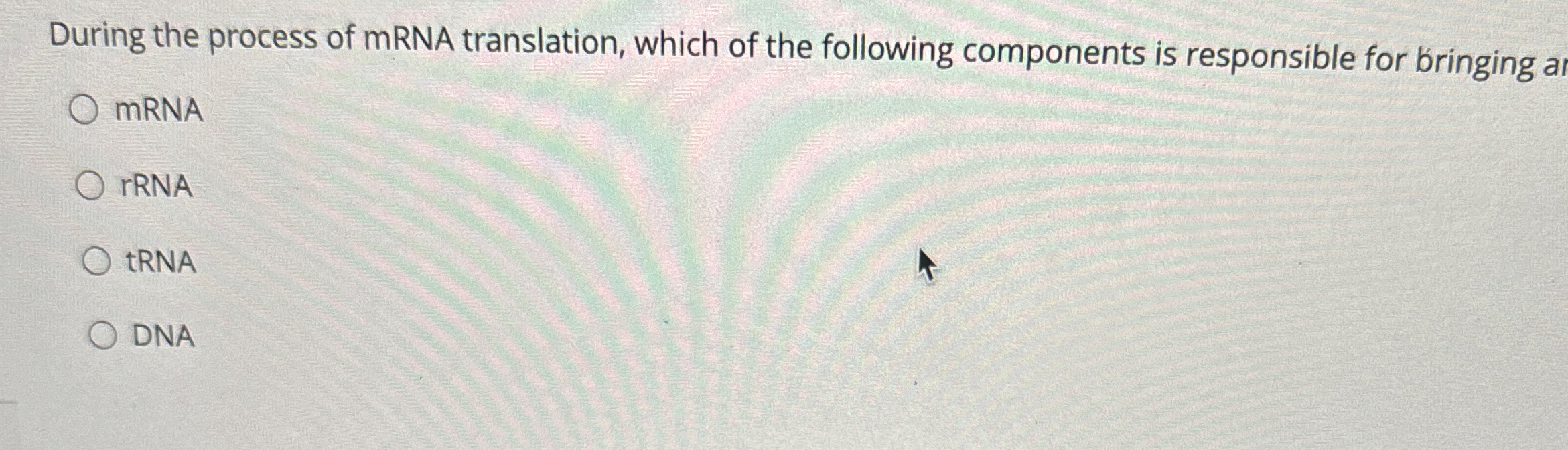 Solved During the process of mRNA translation, which of the | Chegg.com