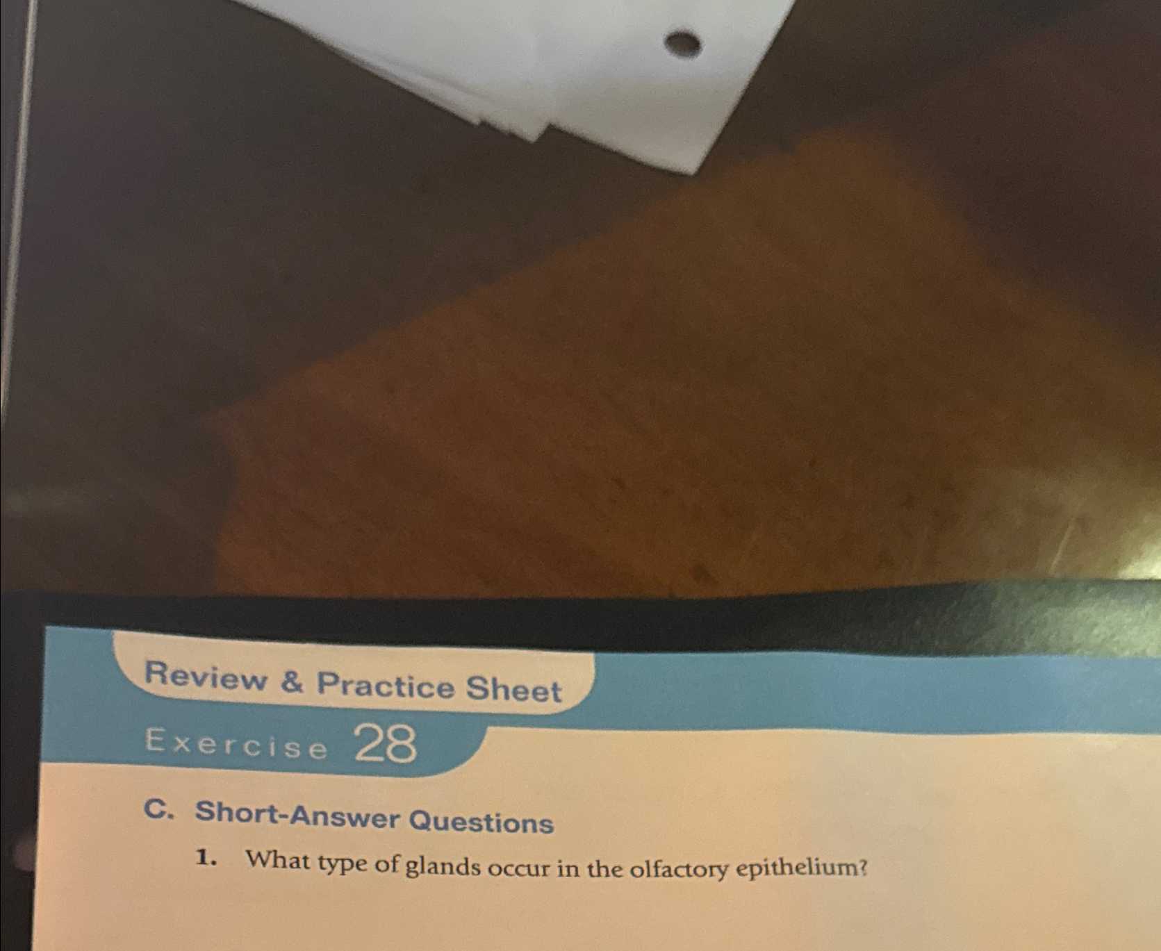 Solved Review & Practice SheetExercise 28C. Short-Answer | Chegg.com Solved Review & Practice SheetExercise 28C. Short-Answer | Chegg.com