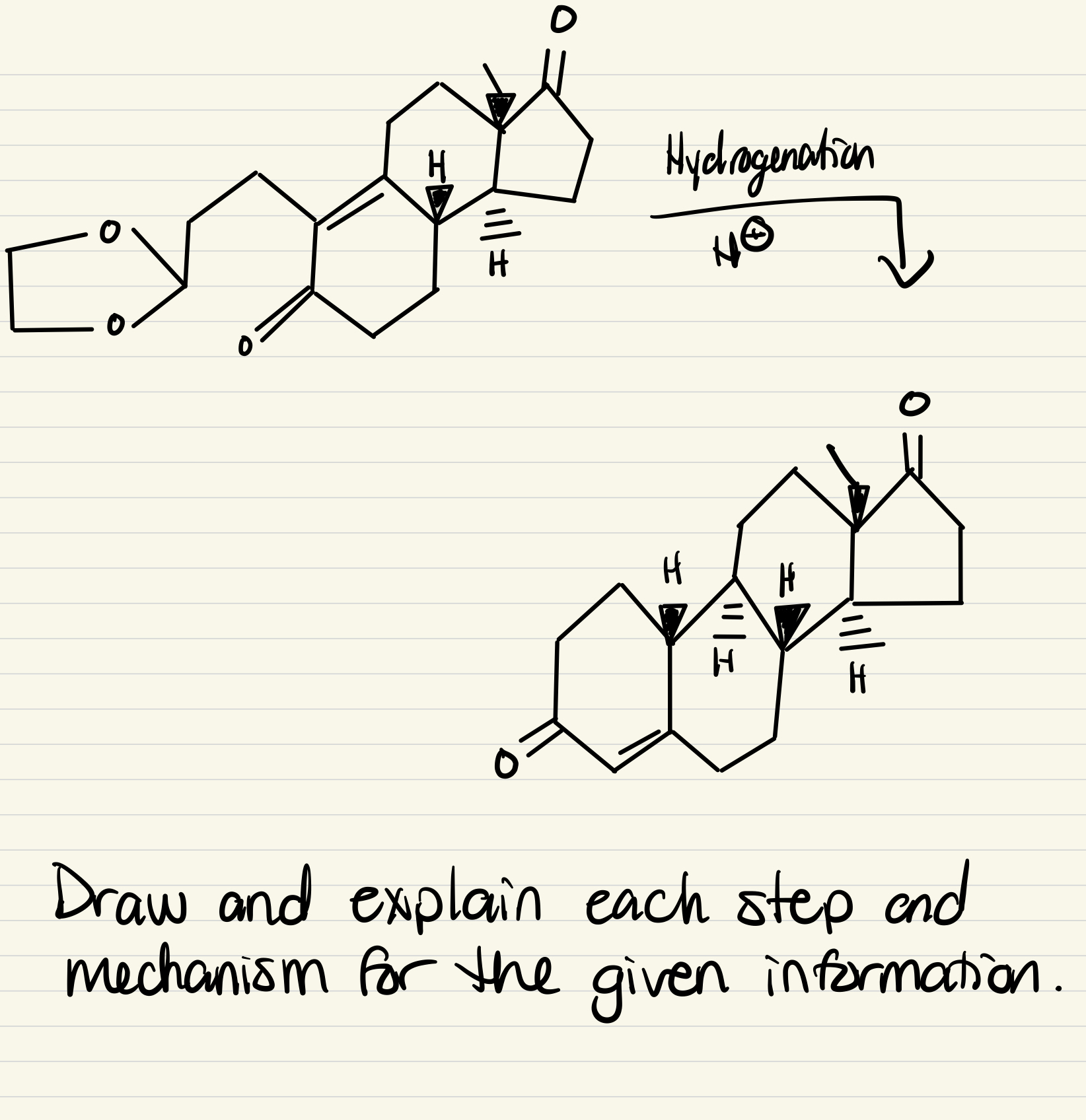 Solved Draw and explain each step and mechanism for the | Chegg.com
