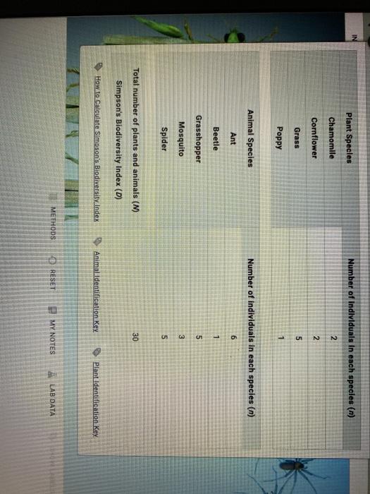 Solved Plant Species Number of individuals in each specles | Chegg.com