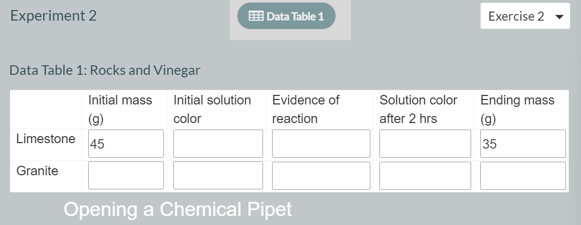Experiment 2data Table 1 Rocks And Vinegaropening A