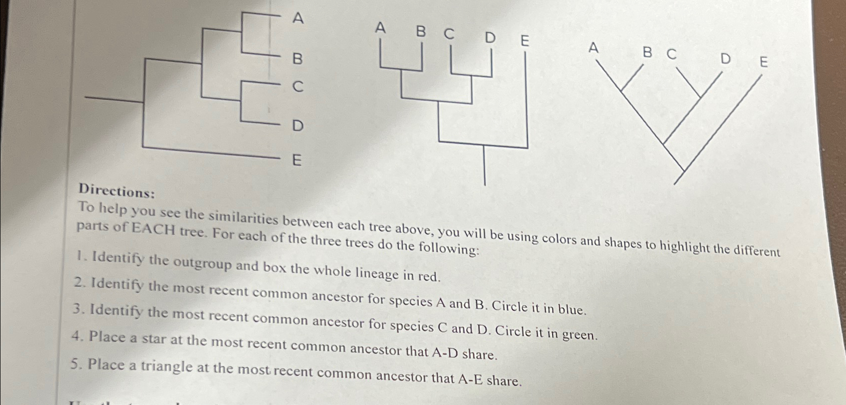 Solved Directions:To help you see the similarities between | Chegg.com