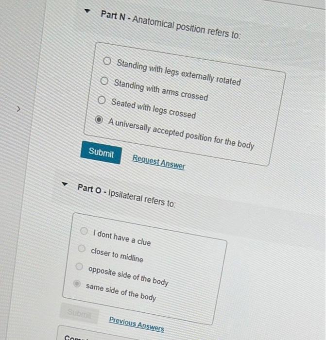 Solved Part N-Anatomical position refers to: Standing with | Chegg.com