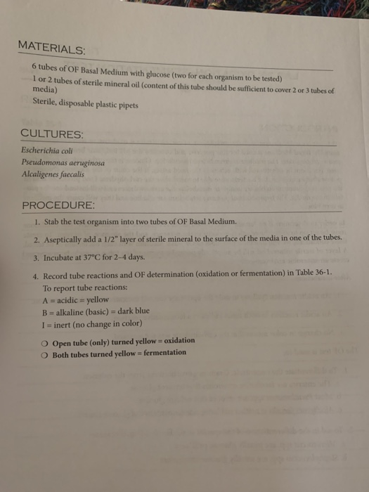LAB 36: OXIDATION-FERMENTATION TEST INTRODUCTION: | Chegg.com