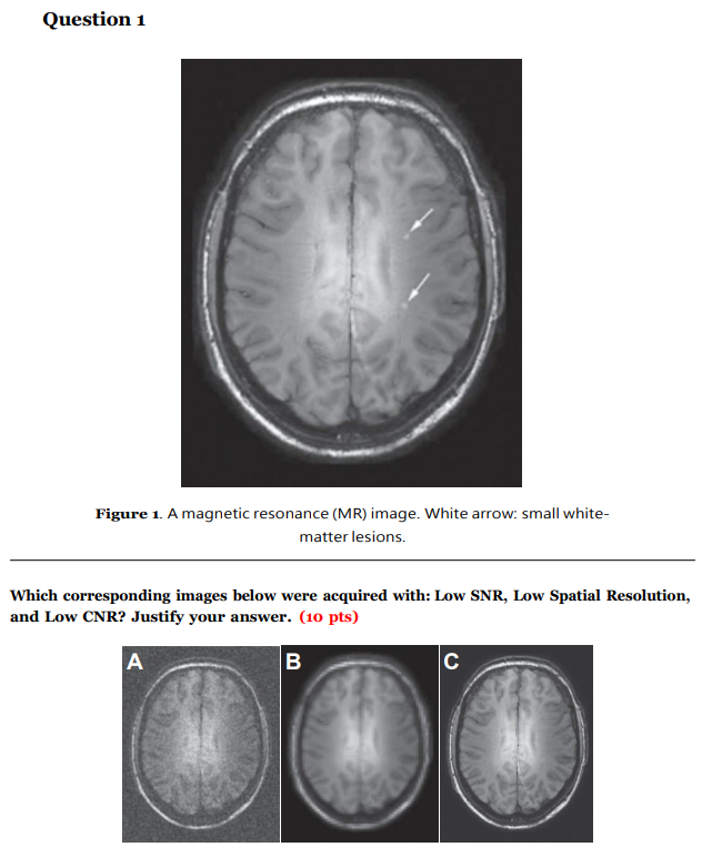 Solved Figure 1. ﻿A magnetic resonance (MR) ﻿image. White | Chegg.com