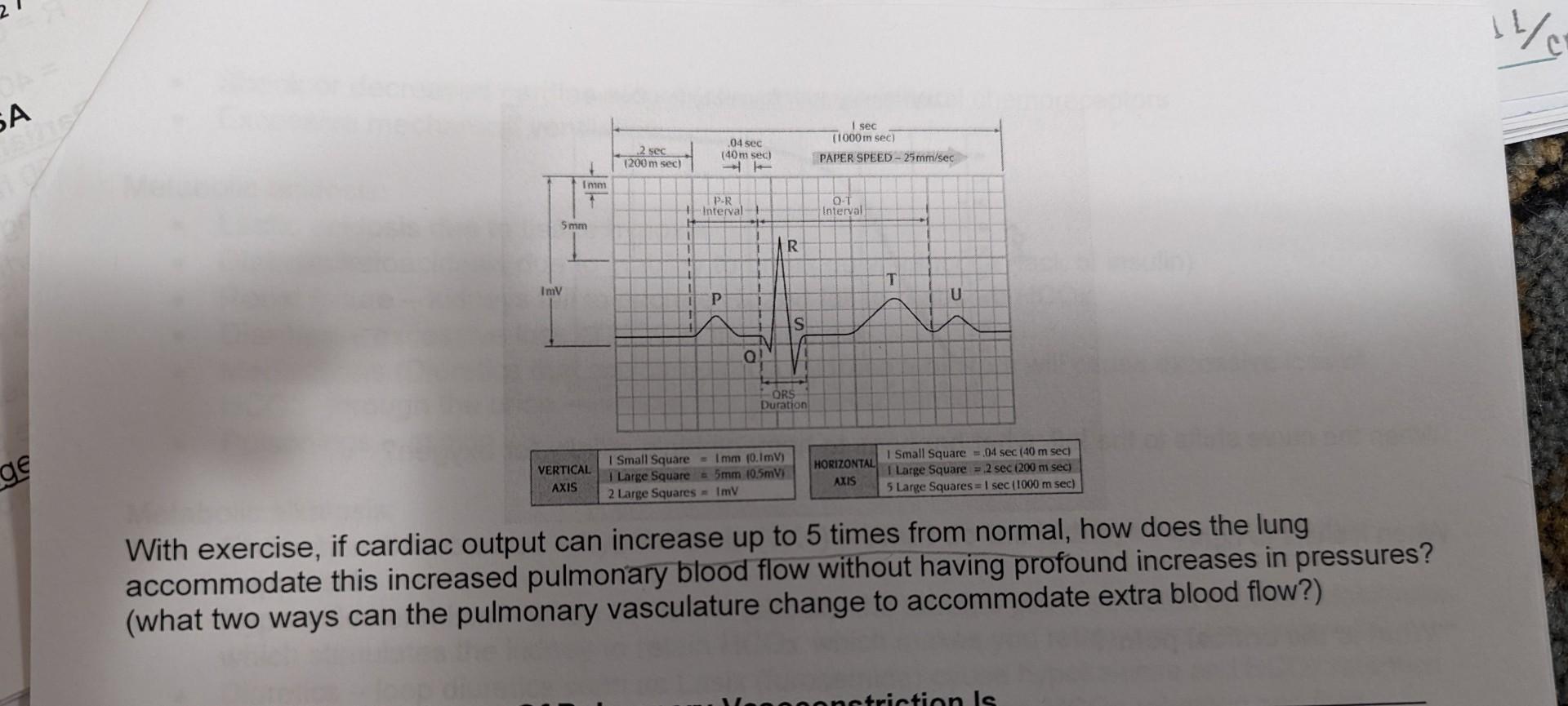 Solved With exercise, if cardiac output can increase up to 5 | Chegg.com