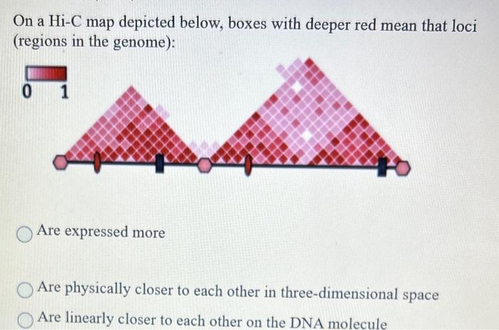 Solved On a Hi-C map depicted below, boxes with deeper red | Chegg.com