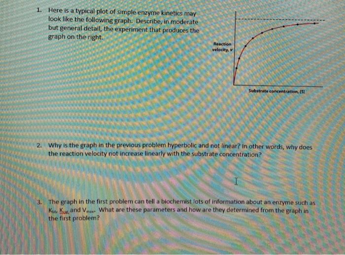 Solved 1. Here is a typical plot of simple enzyme kinetics | Chegg.com